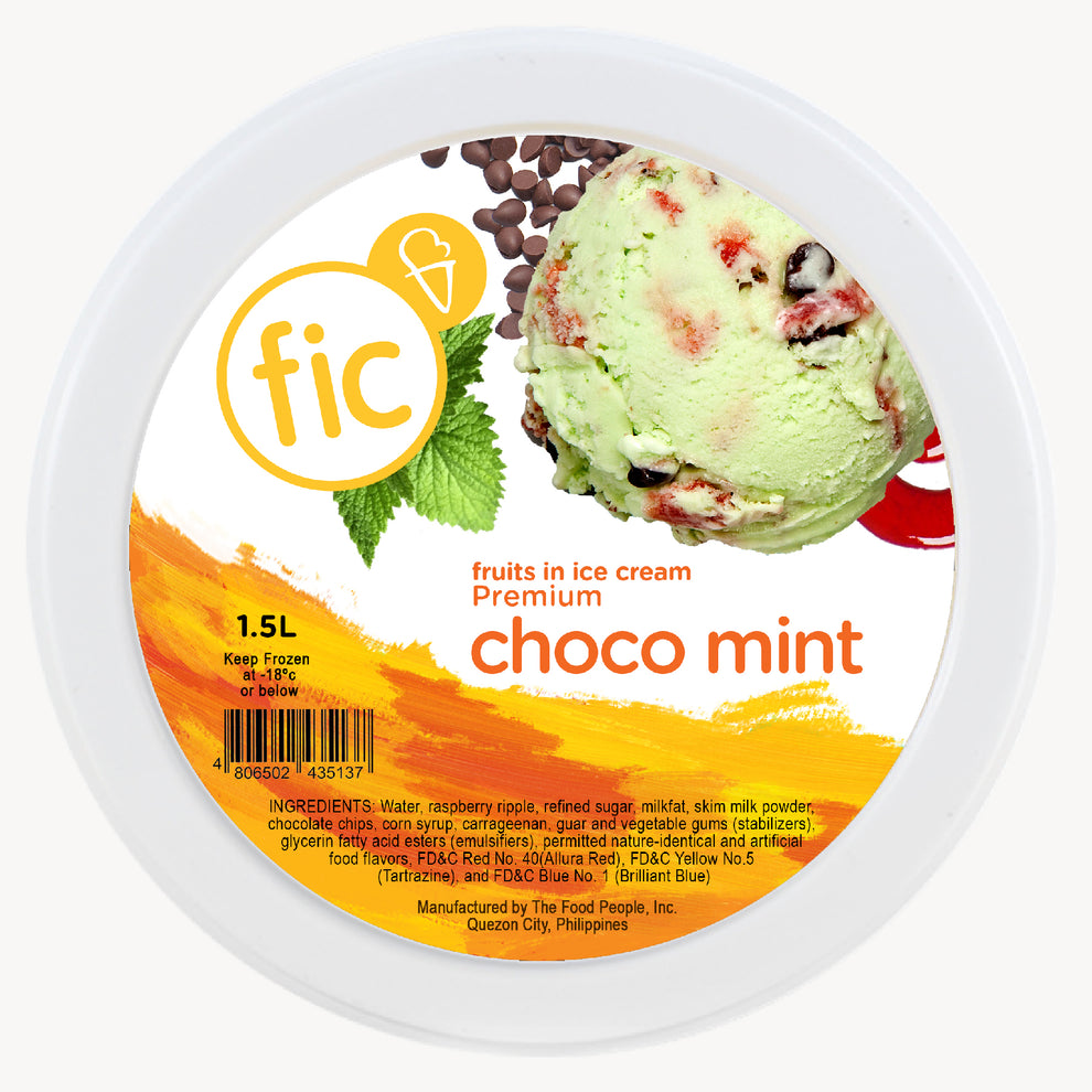 Choco Mint Ice Cream – Fruits in Ice Cream